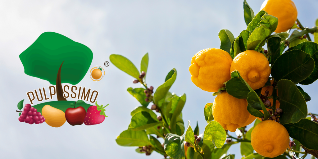 Pulpissimo - ValBar Coffee Shop